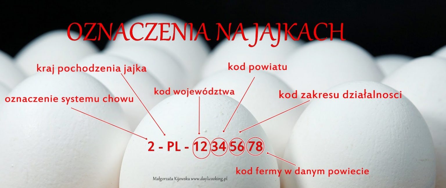 Wartość odżywcza jajek - czy wiesz co siedzi w jajku?
